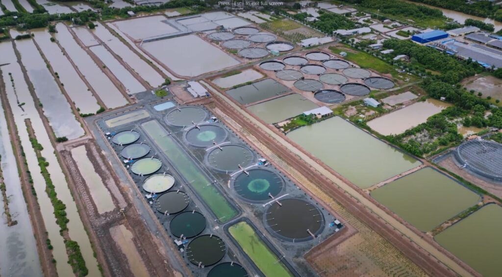 RYNAN Technologies đang Tiên Phong Trong Tương Lai Của Ngành Tôm Việt ...